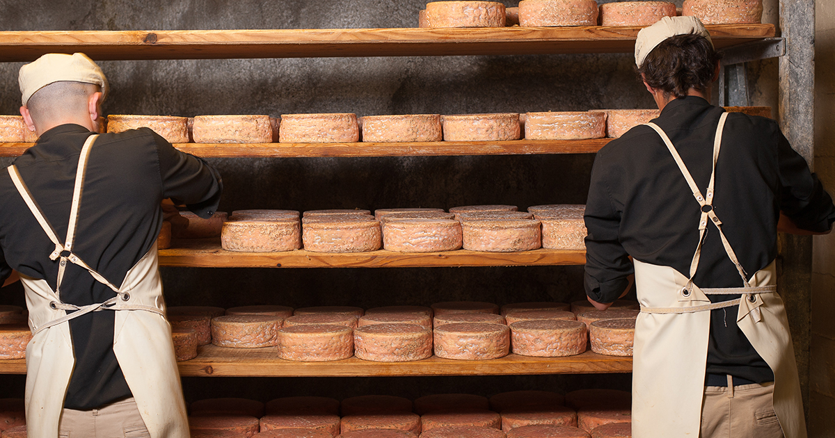 Les Caves d'Affinage de Savoie / Artisan affineur fromages Savoie